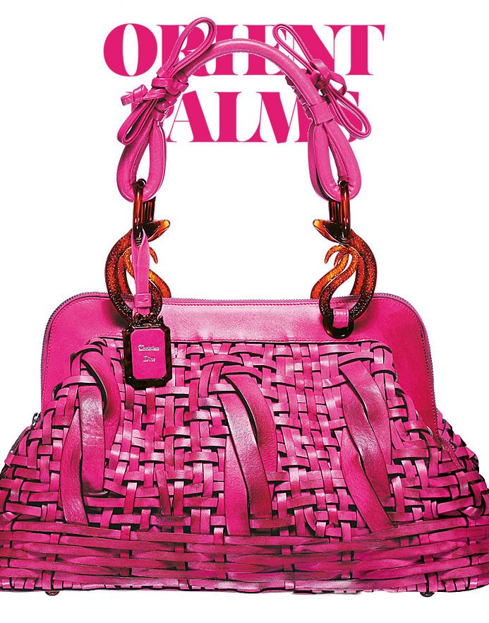 Dior Cruise 2008 - Accessories